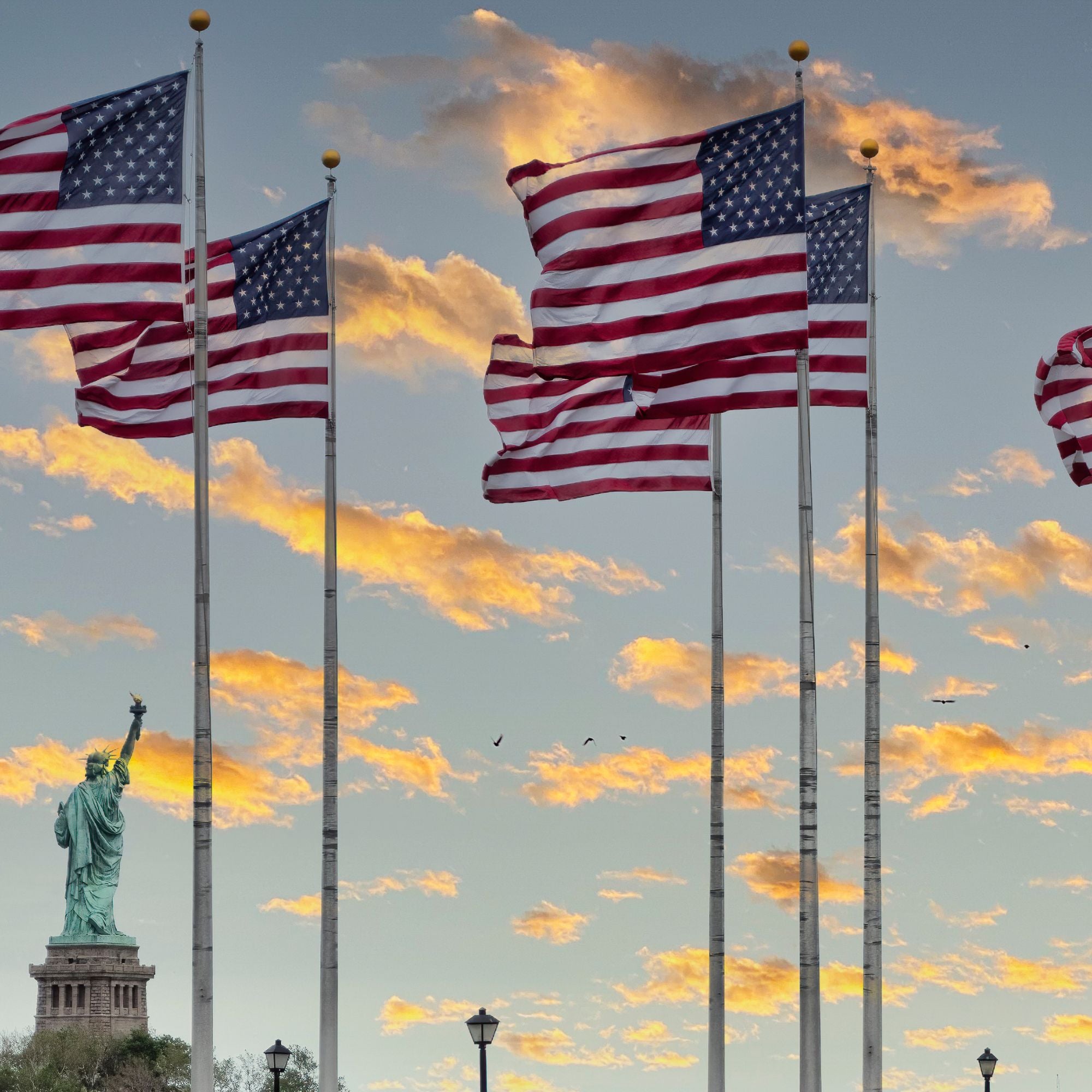 Unlock the Secrets of the Flagpole and Keep Your Flag Flying High! Unc ...