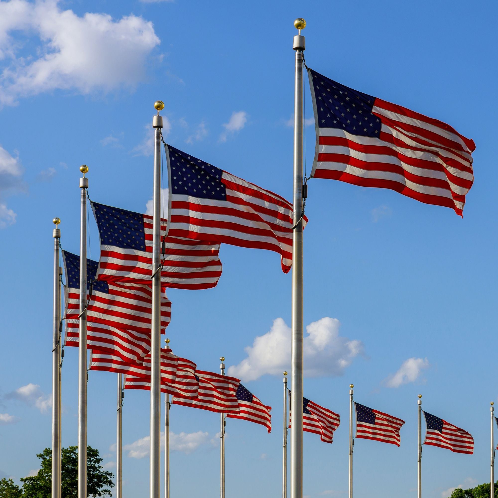 Wondering why flagpoles are so important? Delve into the fascinating h ...